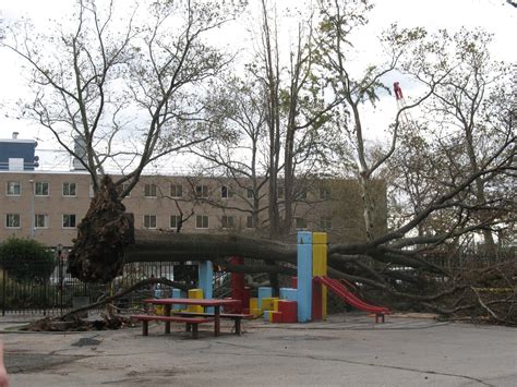 playground elm 3 small the battery