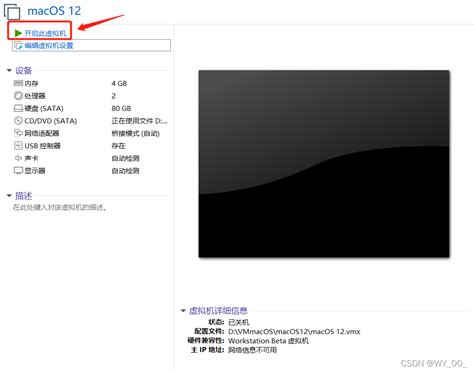 Vmware16pro、mac Os12之手动安装vmware Tools解决本机与虚拟机无法拖拽传输文件及全屏显示的问题vm Macos