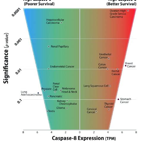 Twenty Cancer Databases From The Cancer Genome Atlas Tcga With