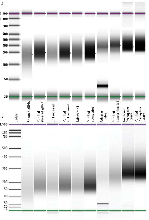 Figure 6 From End To End Sample Quality Control For Next Generation