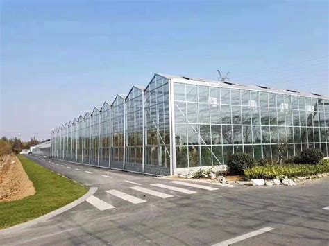 Venlo Type Polycarbonate Board Pc Green House The Belt And Road