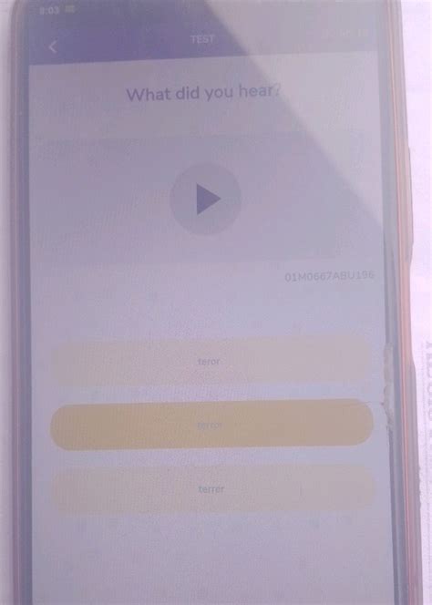 What Did You Hear Teror Error Terrer StudyX