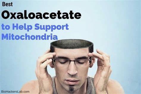 Best Oxaloacetate Supplements 2024 Review