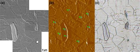 Microstructure Of Selected Regions Crack Tip Ac And Crack Flank Download Scientific Diagram