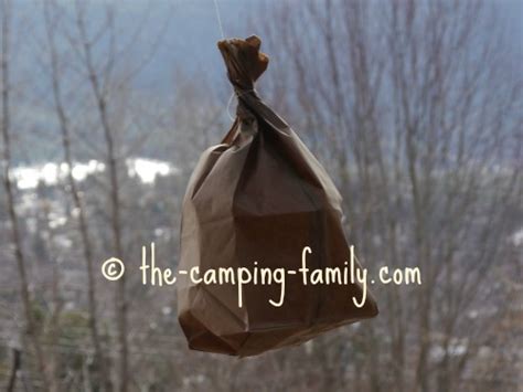 Wasp Sting Prevention How To Avoid Getting Stung By A Wasp