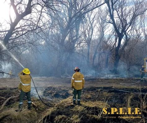Las Quemas Descontroladas Terminan En Graves Incendios NoticiasNet Informacion De Rio Negro