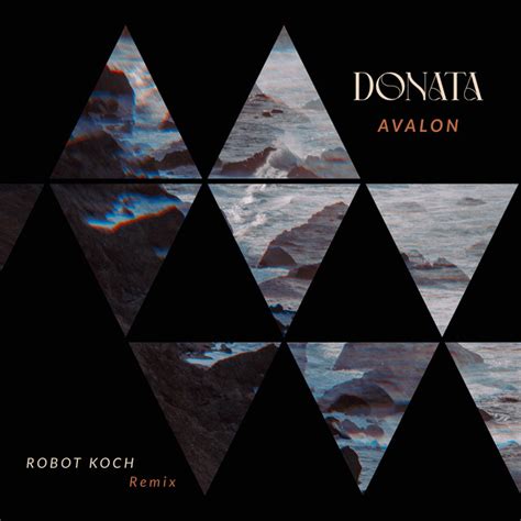Avalon Robot Koch Remix Single By Donata Spotify