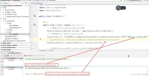 mybatis常见错误 resources csdn博客