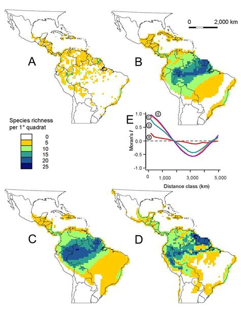 3 Species Richness And Spatial Autocorrelation Patterns Of Bactris At Download Scientific