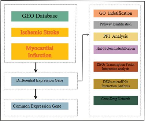 Bioinformatics Strategies To Identify Differences In Molecul Medicine