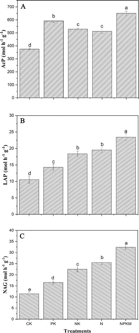 Ac The Effects Of Different Fertilization Treatments On The Activities