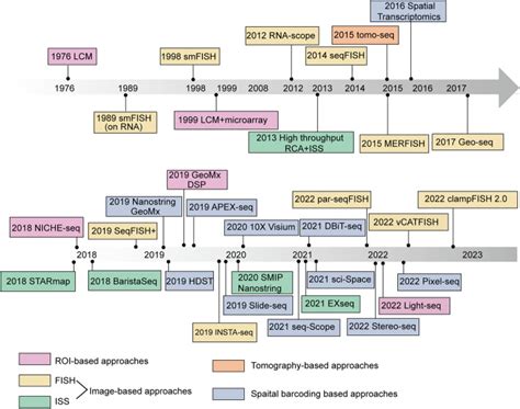 Spatial Transcriptomics In Development And Disease Pmc