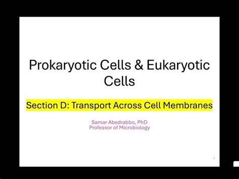 Free Video Transport Across Cell Membranes Passive And Active