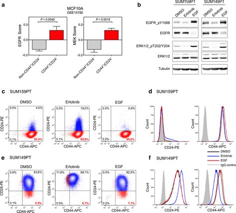 Egfr Signaling Modulates The Cd44⁺ Cd24⁻ Marker Profile In Download Scientific Diagram