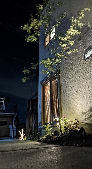 Lighting Meister