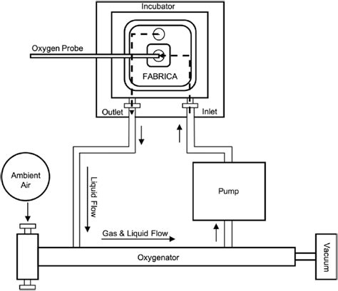 Schematic Of FABRICA Perfusion Setup With FABRICA Bioreactor Download Scientific Diagram
