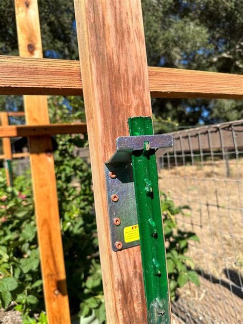 Diy Berry Trellis How To Build A Wire Raspberry Or Blackberry Trellis Video Jardins