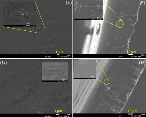 SEM Images At Different Magnifications Illustrating The Morphology Of