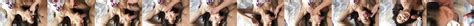 Bunnyjanjan Needs No Teaching On How To Give A Good Bj Xhamster