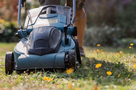 기치 인간의 잔디 깎는 사람이 뒤뜰의 풀을 자릅니다 정원 관리를위한 농업 기계 35 39세에 대한 스톡 사진 및 기타 이미지 35 39세 가사 집안일 국립 초원