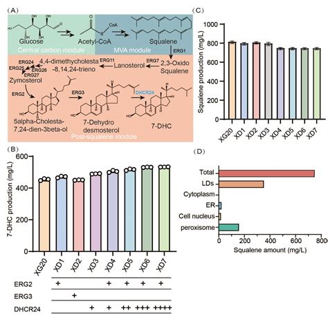 Metabolic Engineering