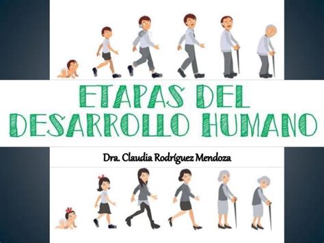 Etapas Del Desarrollo Humano Desarrollo Humano Etapas Del Desarrollo