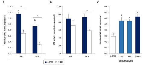 Hydroxy Selenomethionine An Organic Selenium Source Increases Selenoprotein Expression And