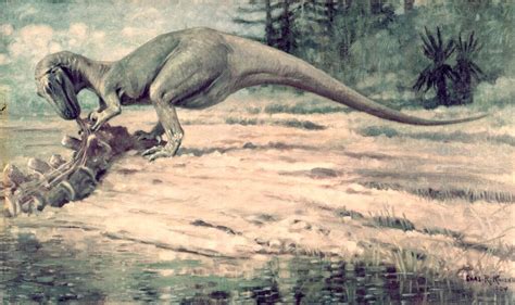 The Difference Between Allosaurus And T Rex Dino World