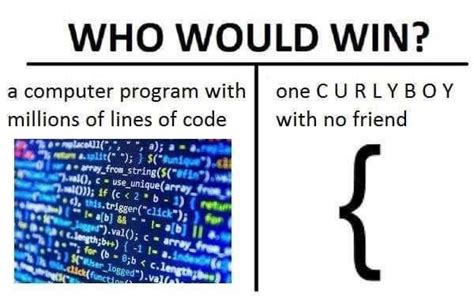 One Curly Boi Would Win R Programmerhumor