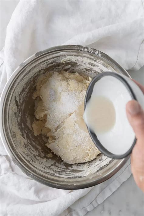 Artisan Pizza Dough Crispy Chewy Bubbly Crust Artofit