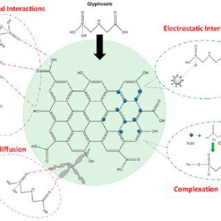 Schematic Illustration Of The Cu Gly Interaction Guan Et Al