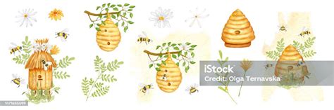 양봉 주제에 대한 수채화 세트 그림 꿀벌 나무 벌집 짚 지붕 꽃과 잔디에 있습니다 꿀벌 가지 땅벌 카모마일 꽃 벌집 헤어에 대한 스톡 벡터 아트 및 기타 이미지 Istock