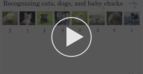 Softmax 회귀 하이퍼파라미터 튜닝 배치 정규화 및 프로그래밍 프레임워크 Coursera