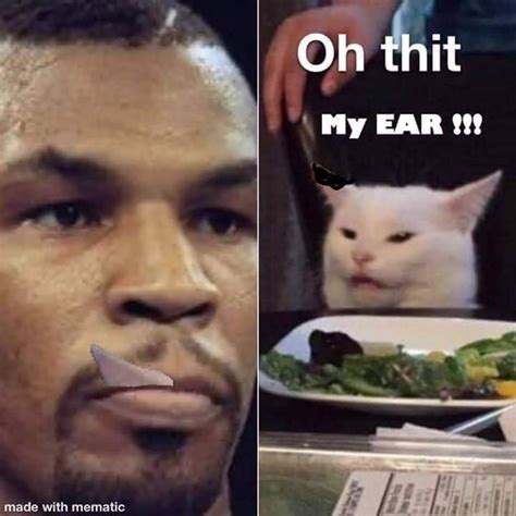 Woman Yelling At Cat Memes That Perfectly Showcase Strange Southern