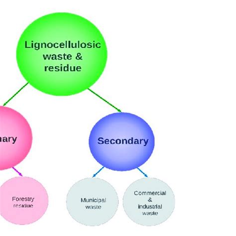 Typology Of Lignocellulosic Wastes Download Scientific Diagram