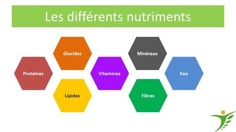 Protéines glucides et lipides YouTube