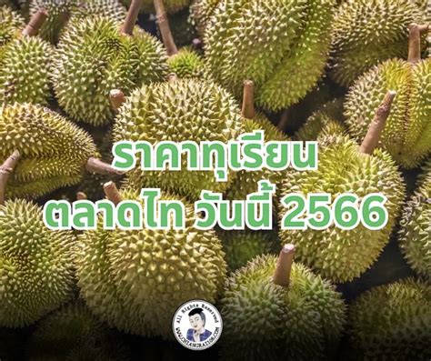 ราคาทุเรียนตลาดไท วันนี้ 2566