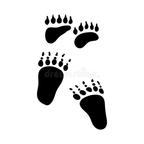 Brown Bear Footprint Stock Vector Illustration Of Mammal 147530661
