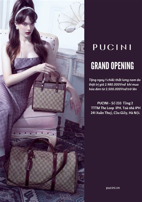 Punici