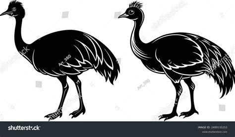 Vector Silhouette Image Cassowary Stock Vector Royalty Free 2489135253 Shutterstock