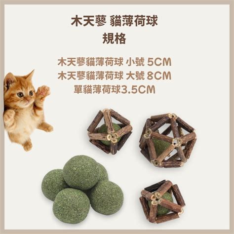 寵物玩具球 木天蓼貓薄荷球 貓咪彩虹鈴鐺球 貓咪磨牙玩具 貓草 木天蓼 磨牙 貓草球 木天蓼粉 貓草玩具 貓薄荷 毛絨 高精寵物用品 寵物用品