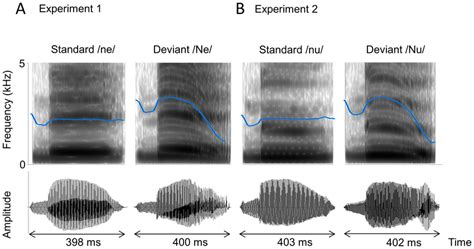 Spectrogram Top And Oscillogram Bottom Of The Standardnea Left
