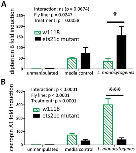 Ets21c Has A Minor Affect On Anti Microbial Peptide Expression Similar