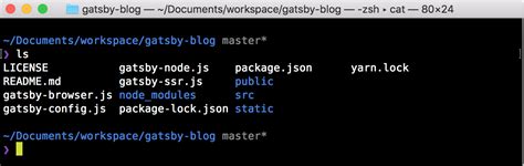 How To Make Zsh Shell Look Nice On Mac Terminal Hao S Learning Log