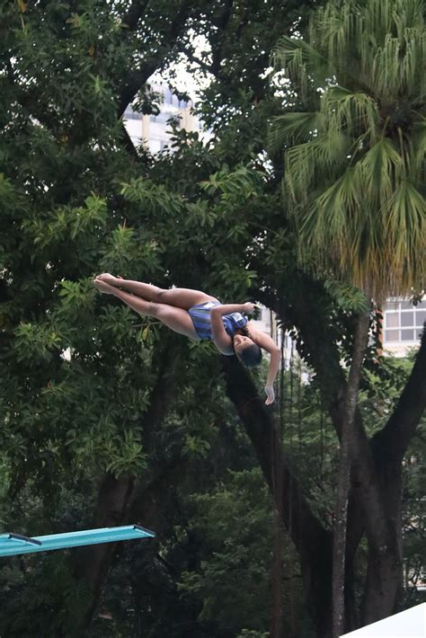 Semana De Campeonatos Brasileiros Saltos Ornamentais Flickr