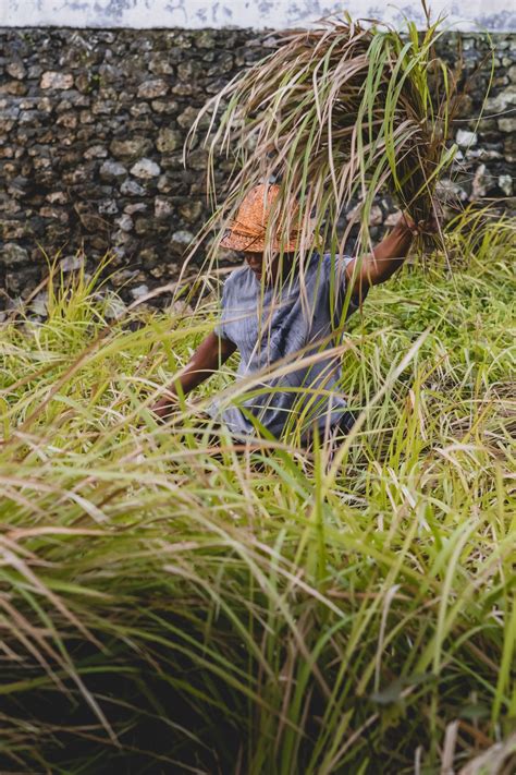 Learn Html Css In 10 Days Institute Of Code Bali — Joe Allam