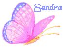 Sandra Name Graphics And S