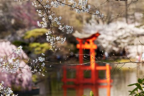 Understanding And Using Exposure Compensation And Bracketing