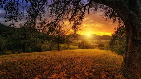 Dicas De Fotografia Luz Natural UNIVERSE IMPORTS