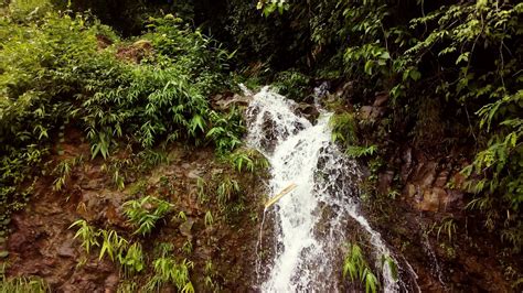 Gambar Alam Air Terjun Jejak Daun Aliran Rimba Musim Gugur